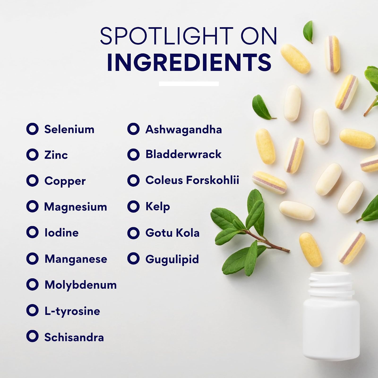 Selenium for balanced thyroid function
