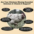 Selenium powder for vibrant feathers