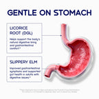 Selerb gummies promote overall wellness