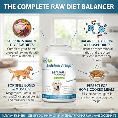 senior dog vitality support tablets