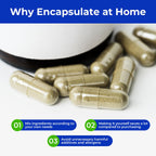 senior-friendly empty vegan capsules