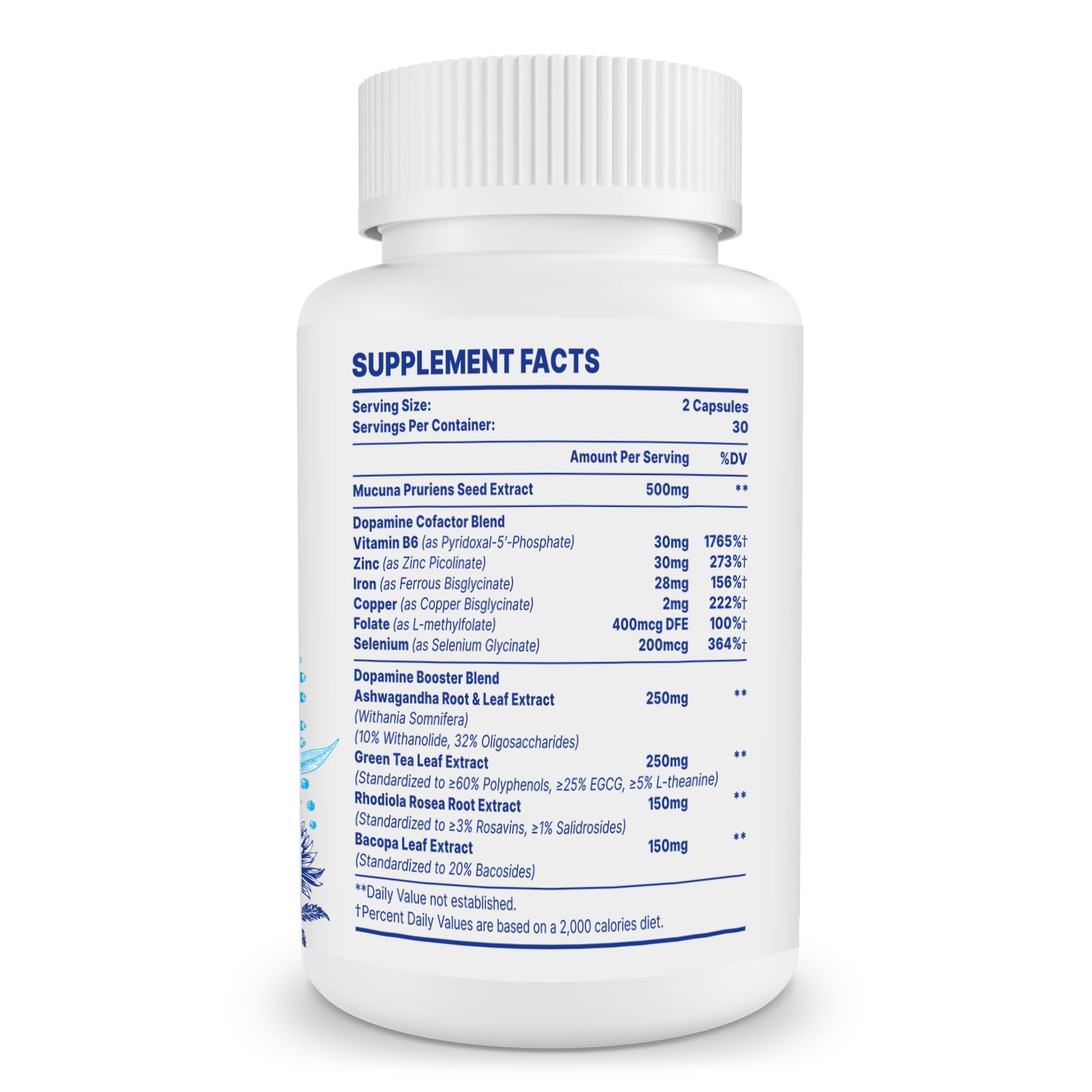 senior multivitamin option with Mucuna Pruriens