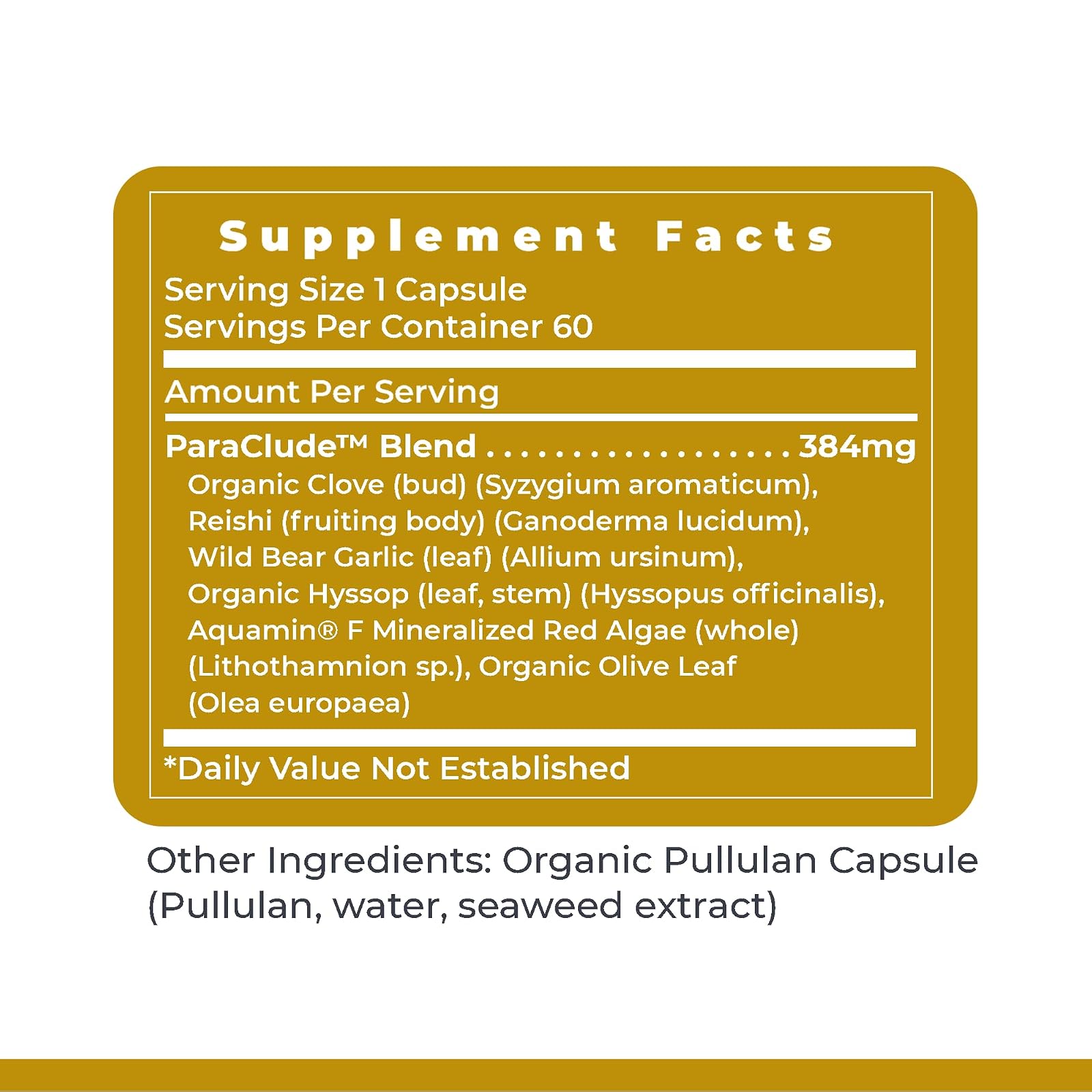 Seniors multivitamin enriched with Reishi