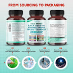 seniors multivitamin for daily health