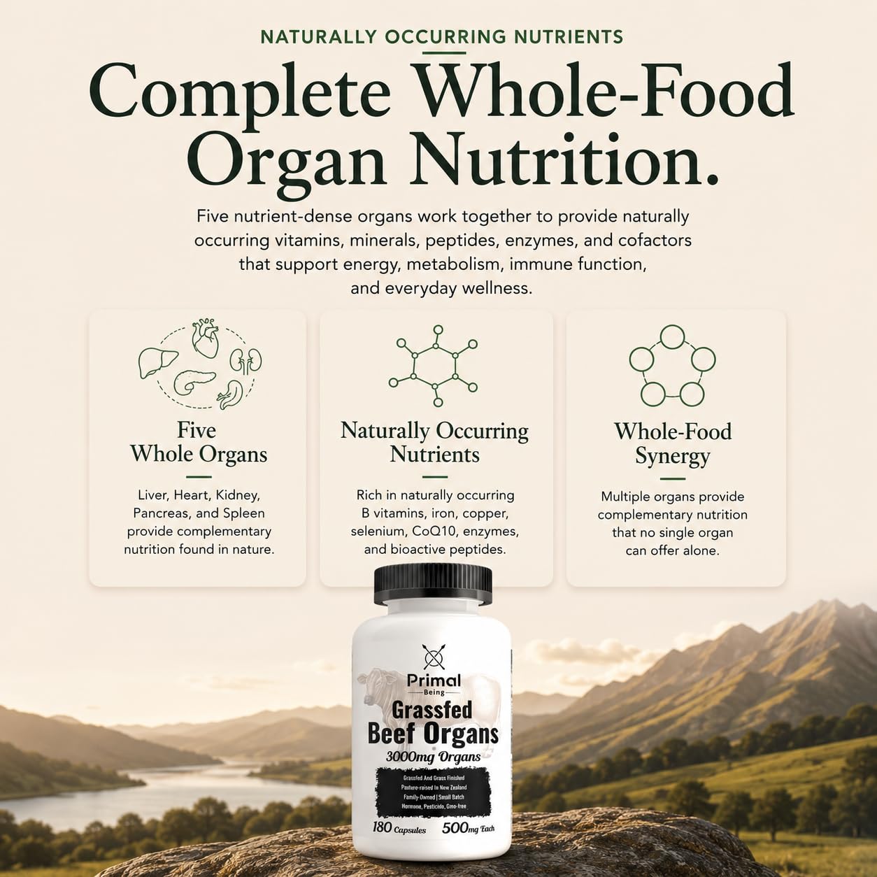 seniors multivitamin for vitality
