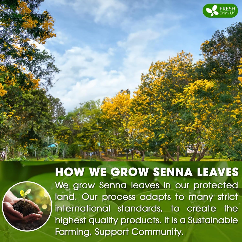 senna leaf tea for digestion