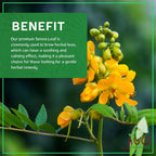 senna leaf tea for herbal infusions