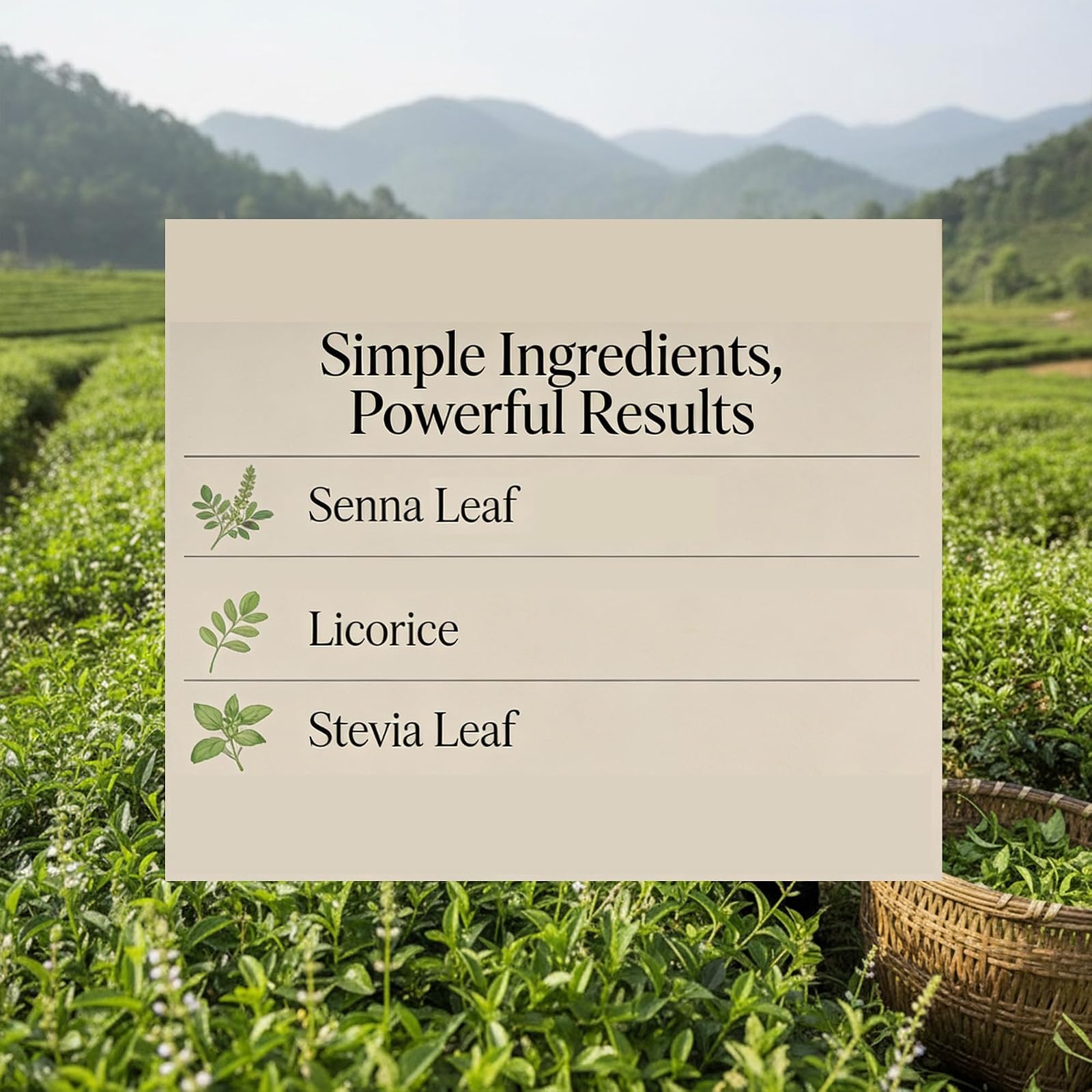 senna tea for gentle detox