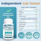 Serrapeptase for inflammation relief
