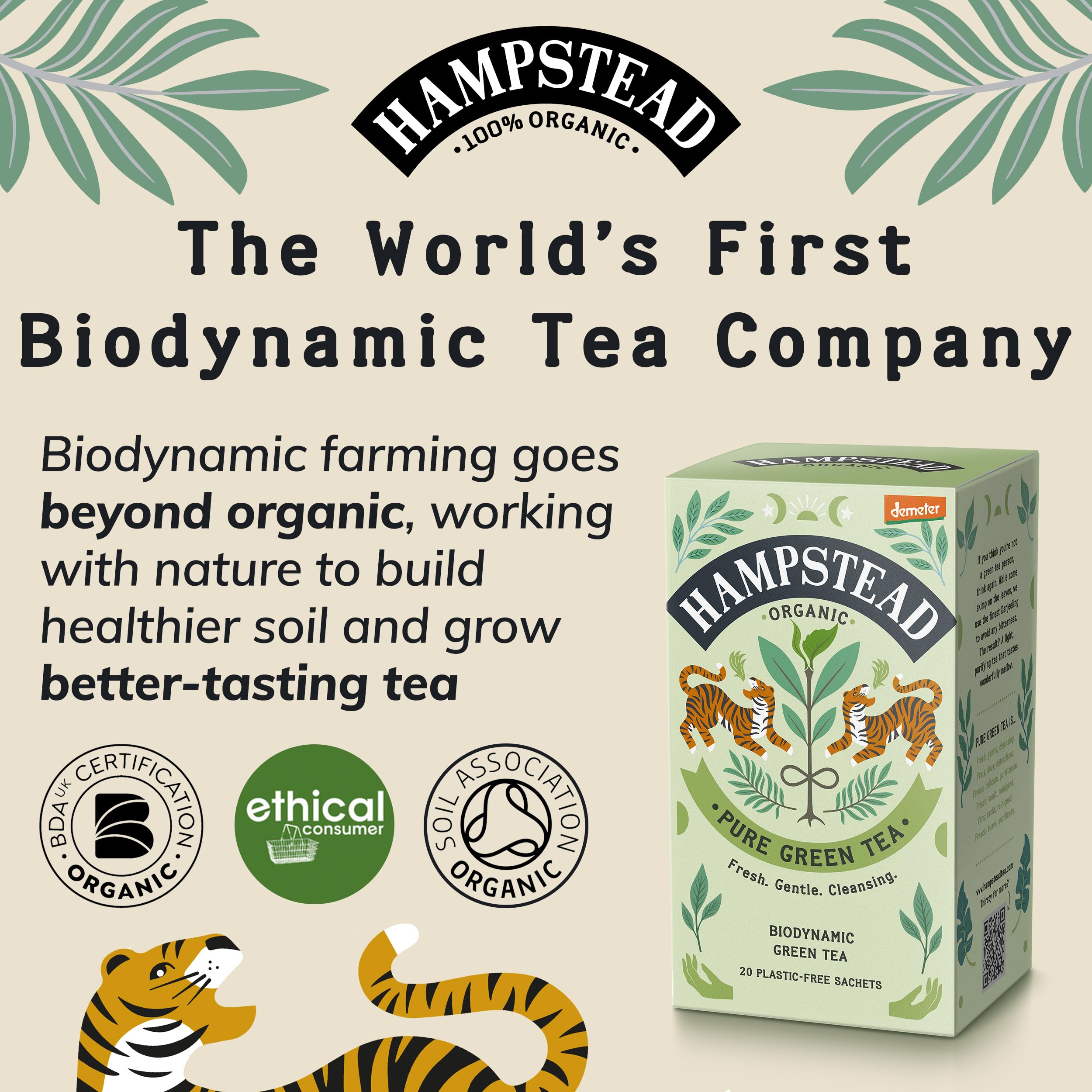 set of 4 green tea packs
