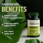 shatavari 500 mg for vitality