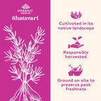 Shatavari 500 mg immune support