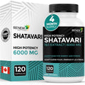 shatavari capsules for energy boost
