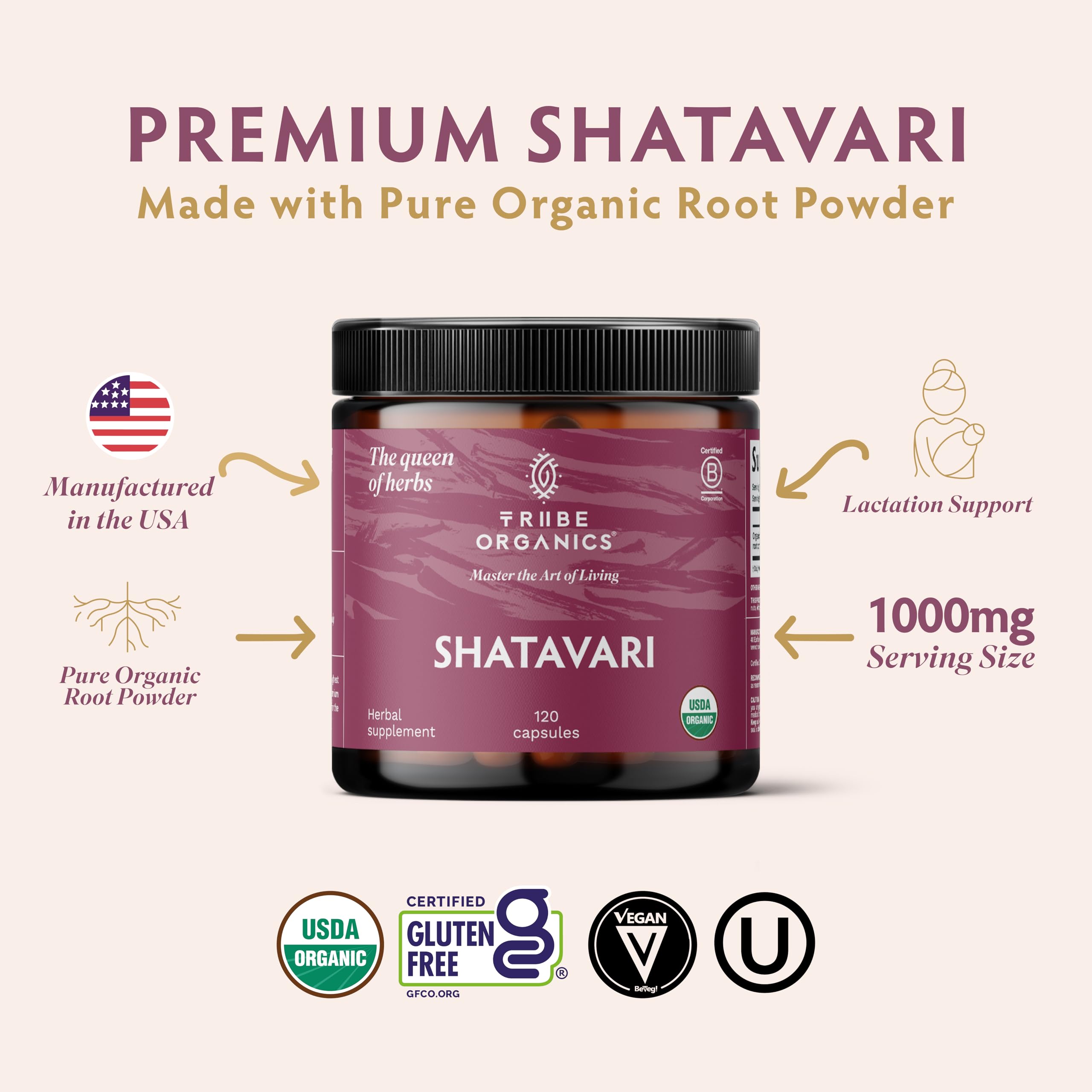 shatavari capsules for immune health