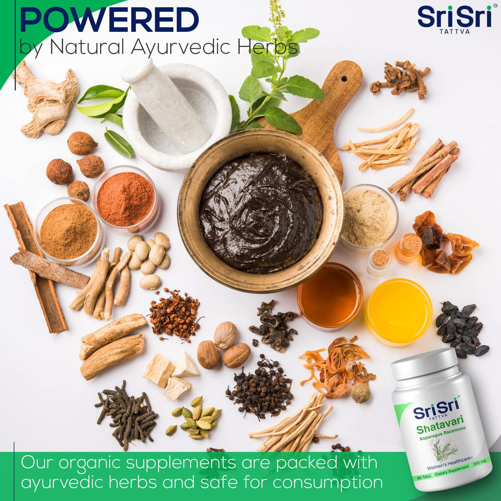 shatavari dietary supplement for energy