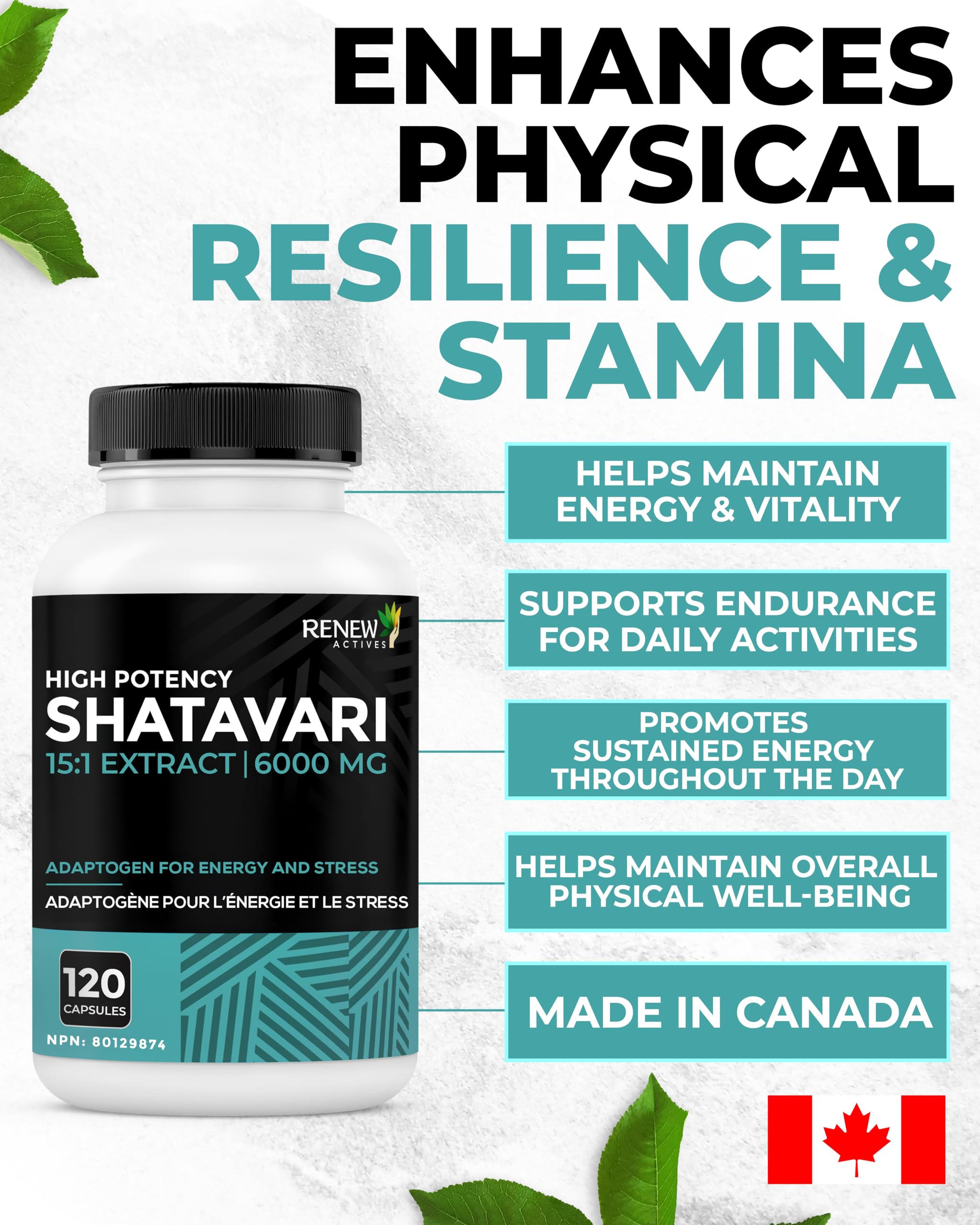 shatavari powder benefits for men