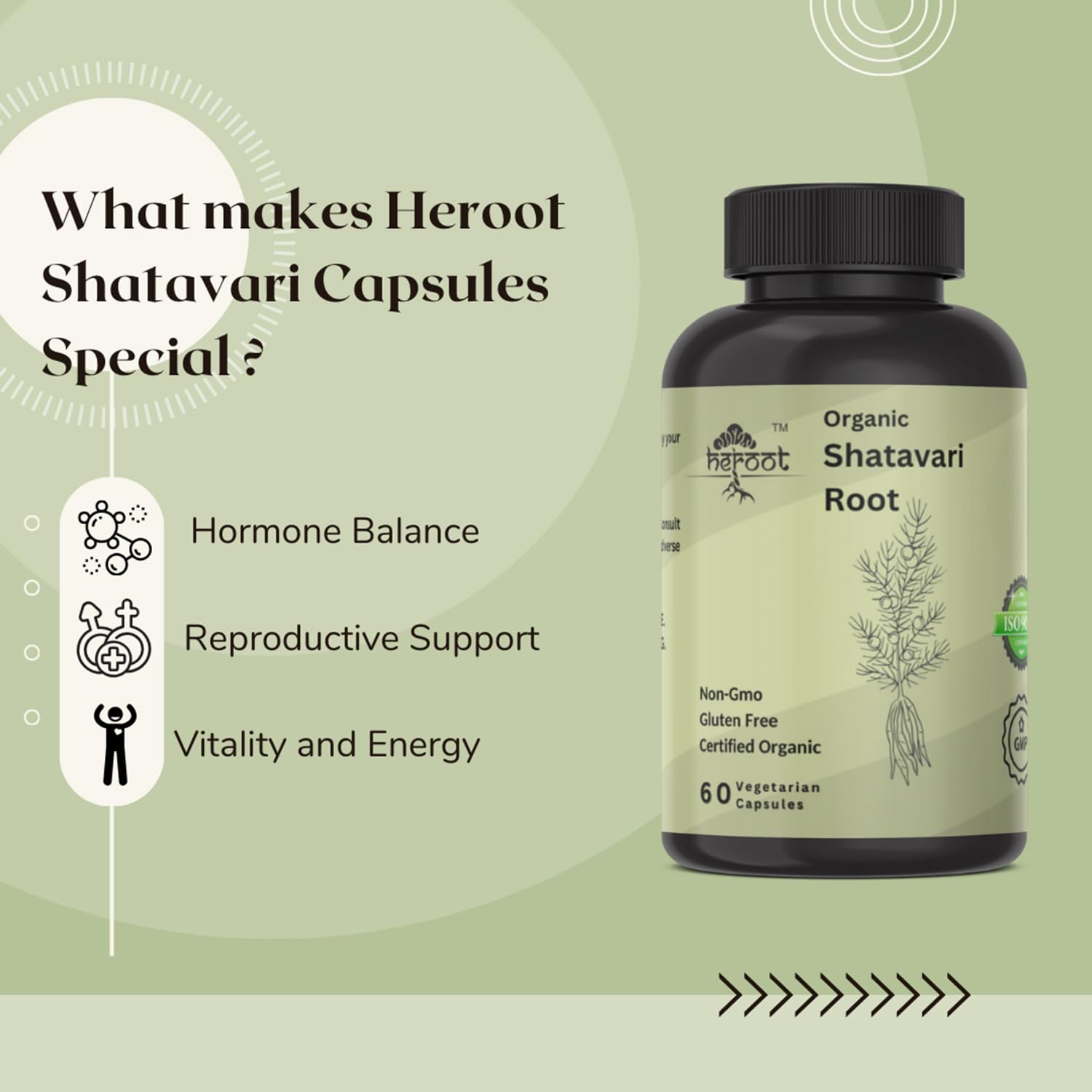shatavari powder for digestive health