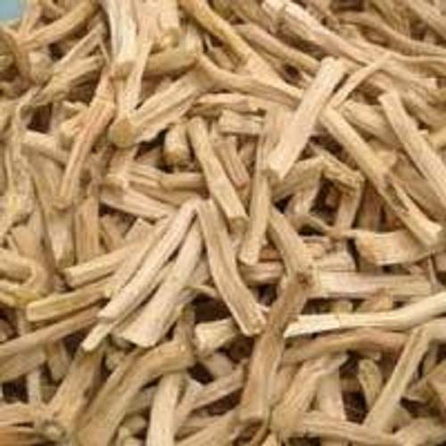 shatavari powder for natural health