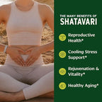shatavari powder supports hormonal balance