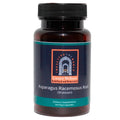 shatavari root extract capsules