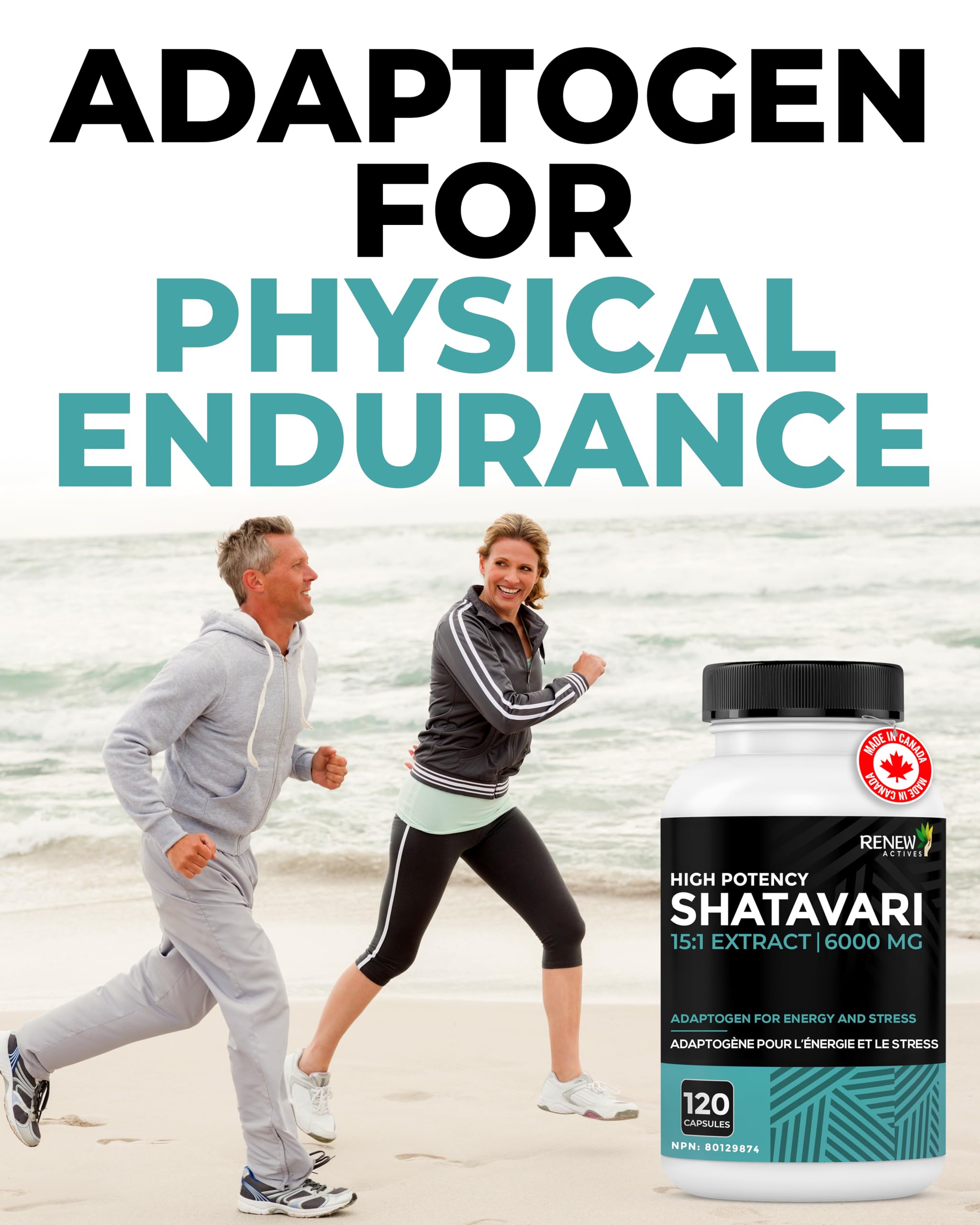 shatavari root extract for stress relief