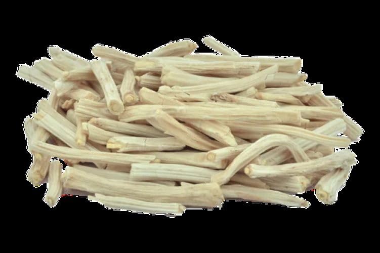 Shatavari root for hormonal balance