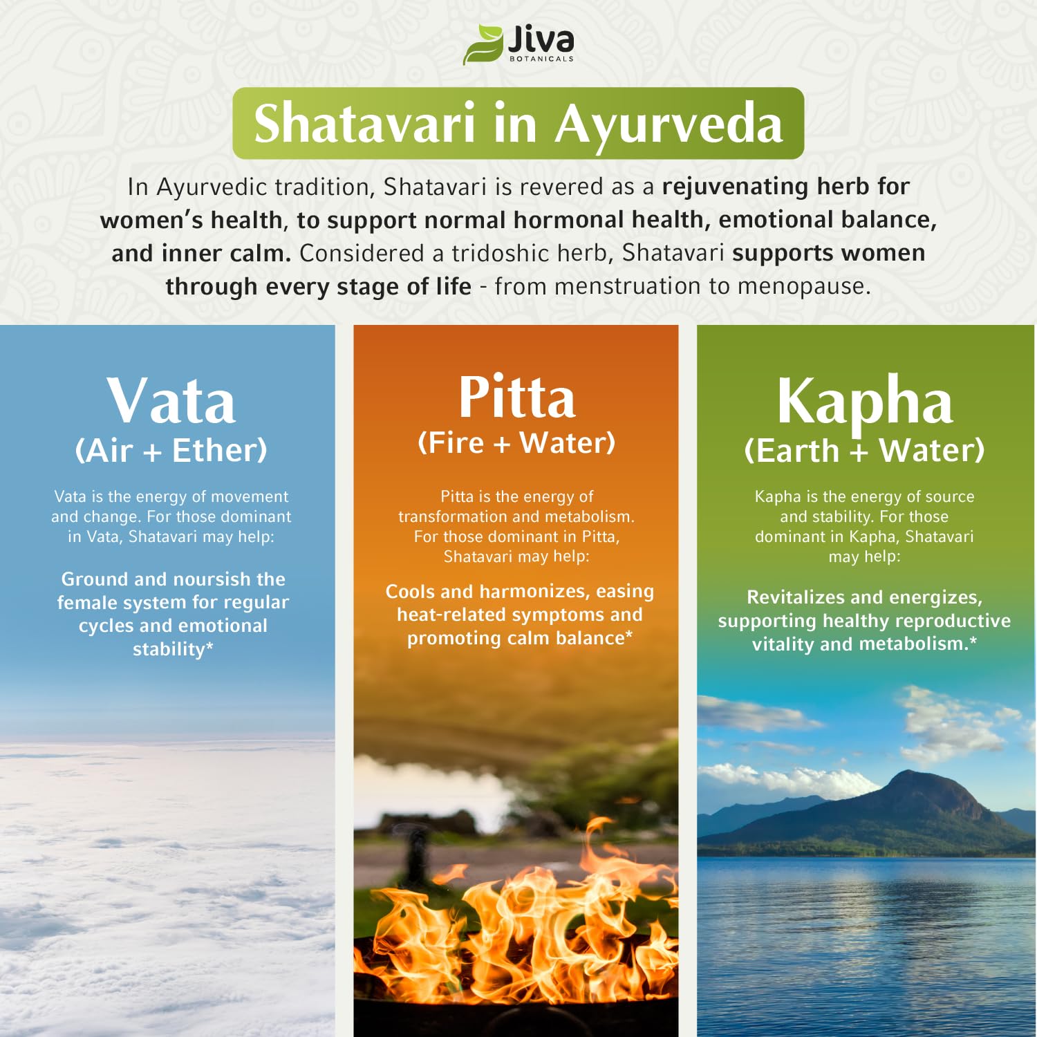 shatavari seeds for enhanced wellness