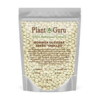 shelled moringa seeds for snacking