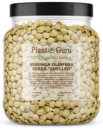shelled moringa seeds in jar