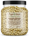 shelled moringa seeds in jar