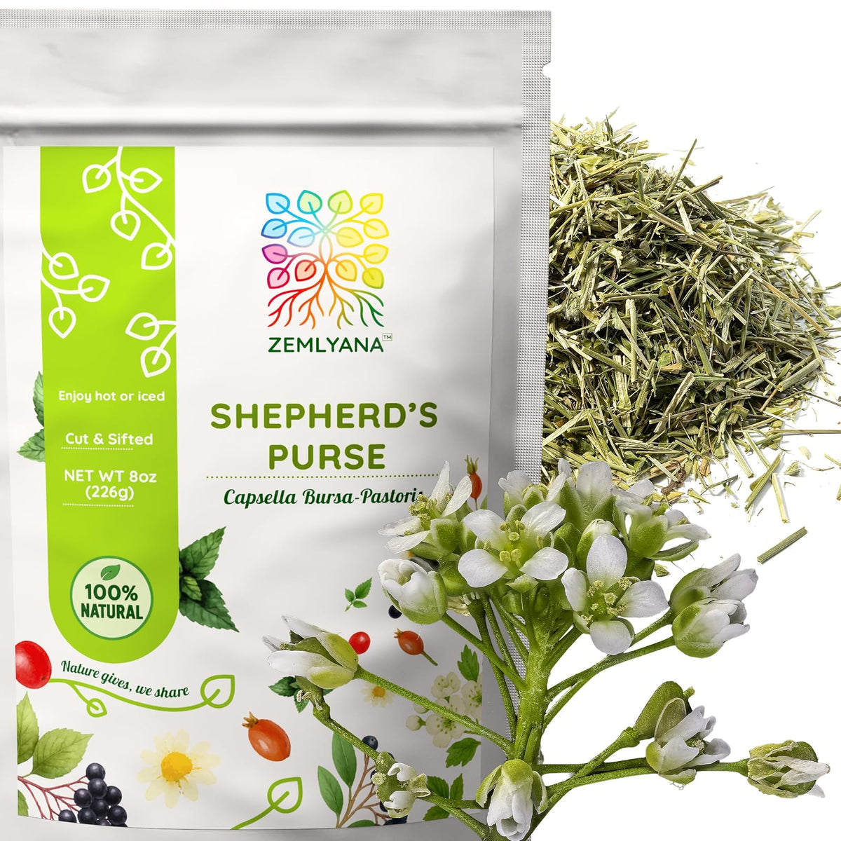 Shepherd's Purse dried herb for teas