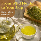 Shepherd's Purse herbal supplement benefits