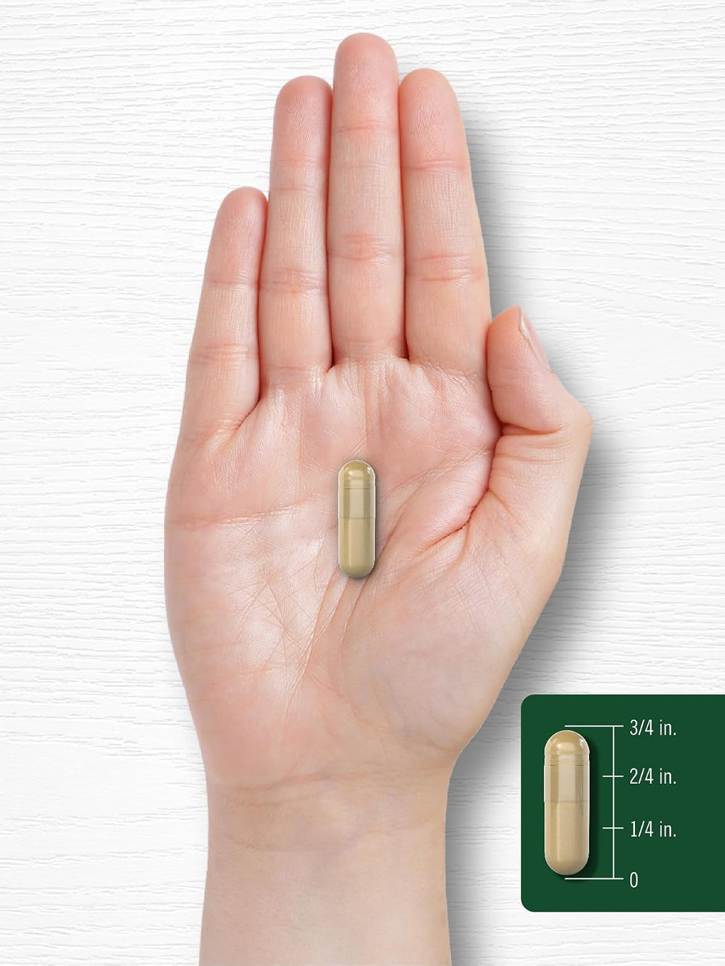 shiitake extract for daily vitality
