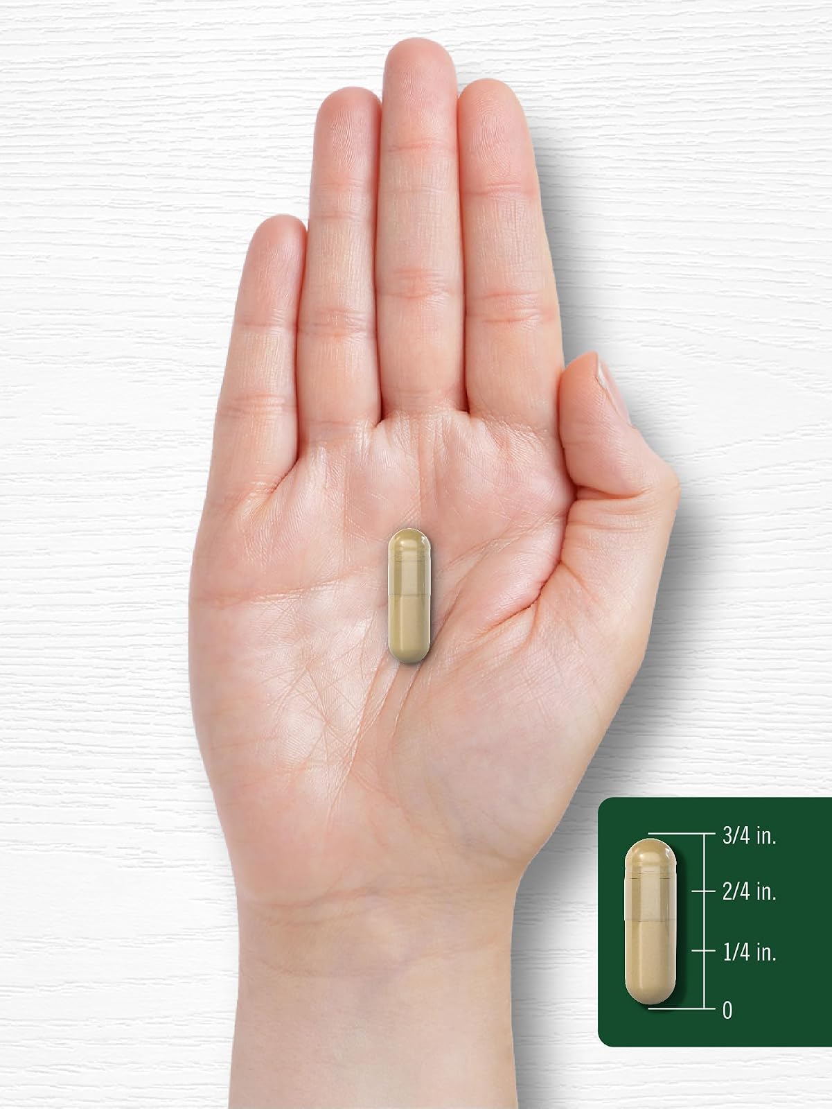 shiitake extract for daily vitality