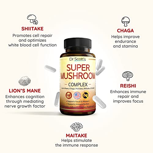 shiitake maitake reishi chaga blend