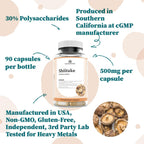 shiitake mushroom extract for energy boost