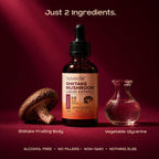 Shiitake mushroom extract for immune support