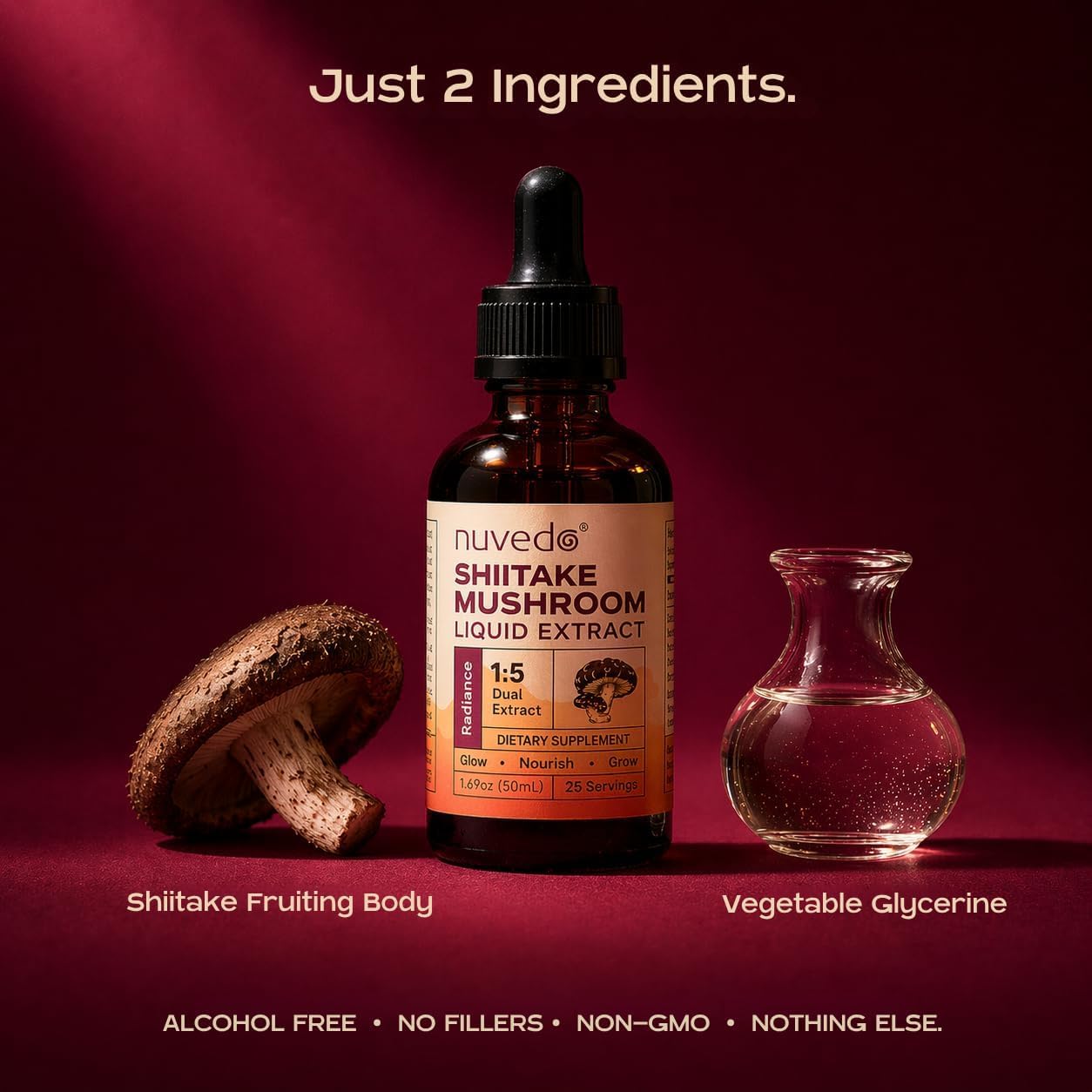 Shiitake mushroom extract for immune support