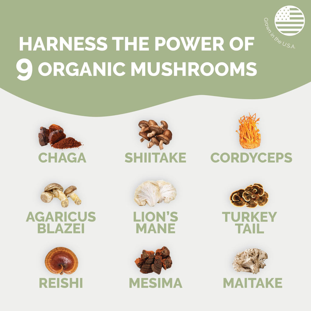 Shiitake mushrooms enhance focus and clarity
