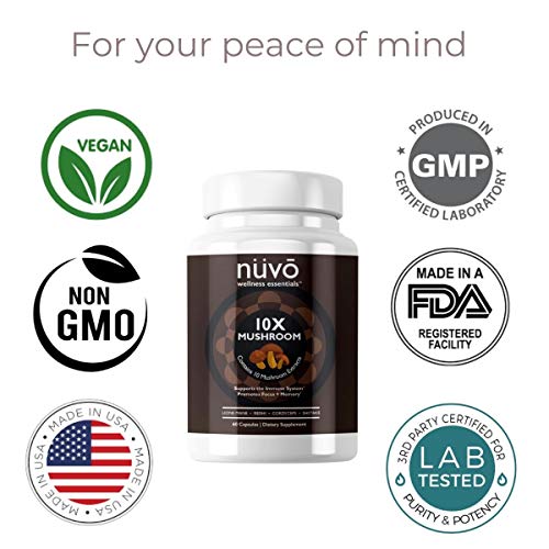 Shiitake mushrooms for natural energy