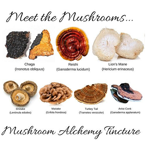 Shiitake mushrooms for wellness