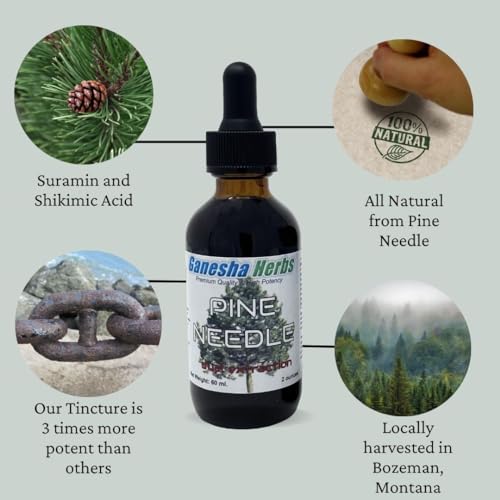 shikimic acid health properties