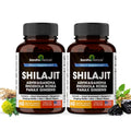 shilajit 10-in-1 blend capsules