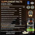 Shilajit 10 in 1 for wellness