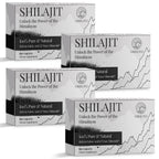 Shilajit 1000 mg trace minerals supplement