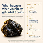Shilajit 1250 mg herbal supplement