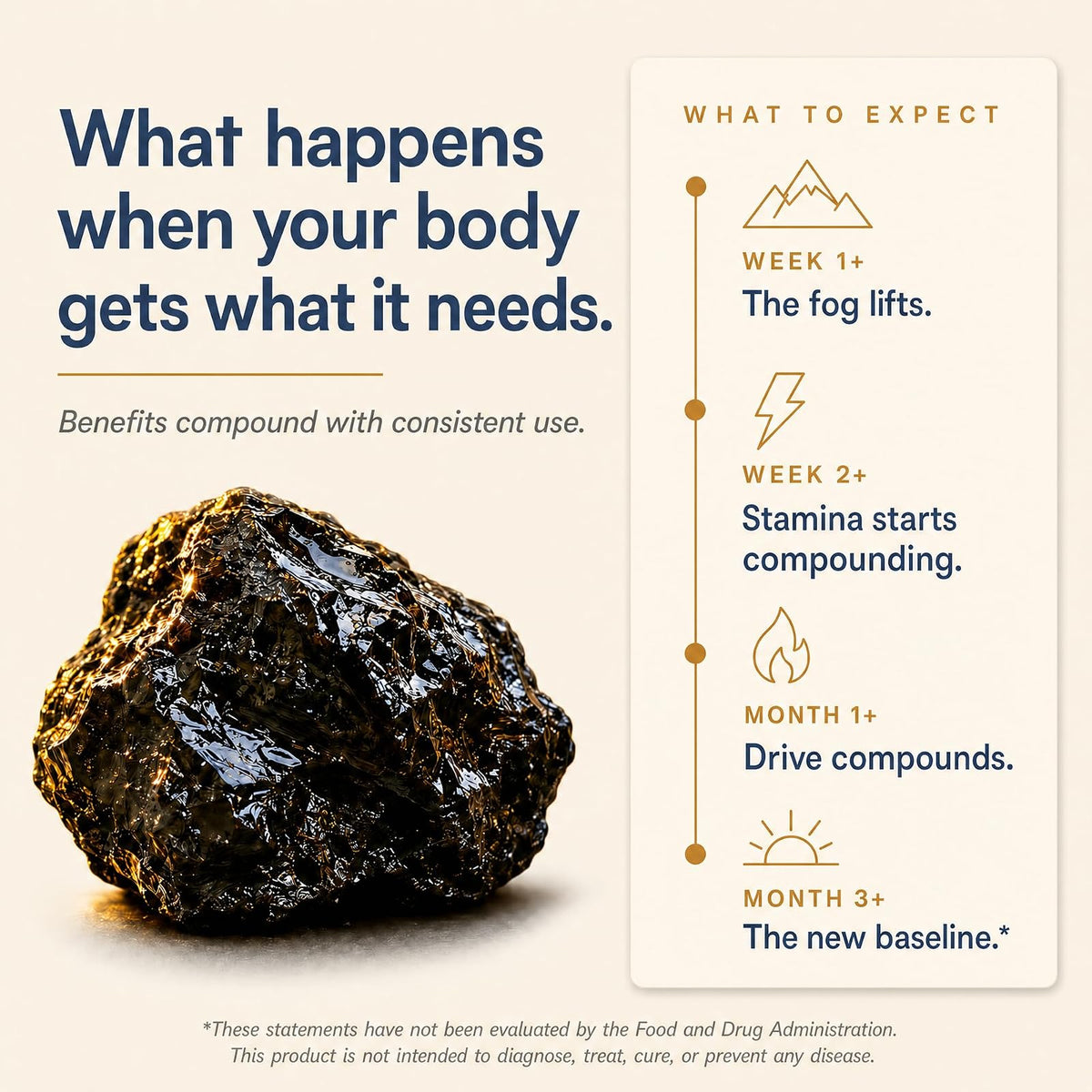 Shilajit 1250 mg herbal supplement