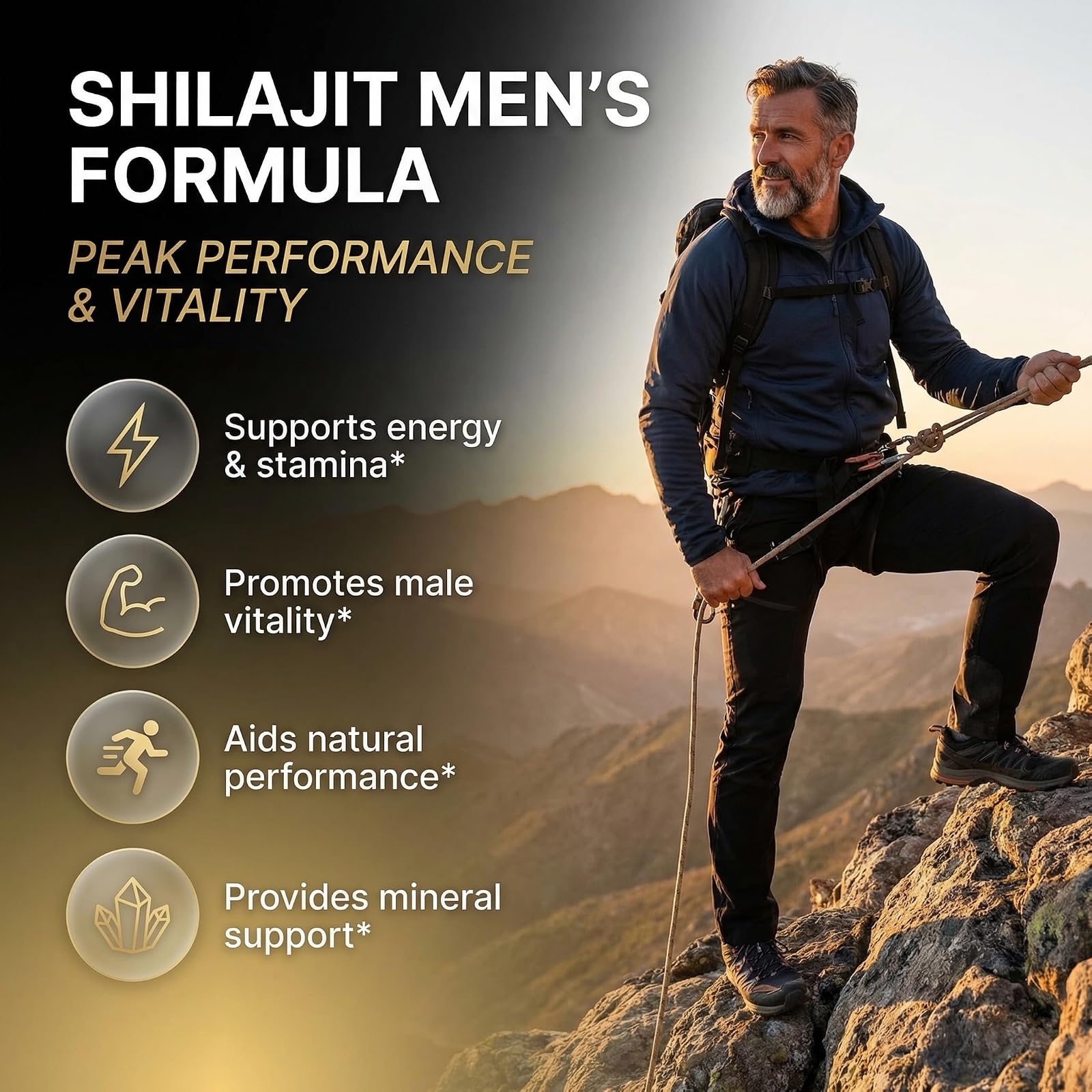 shilajit 500 mg for vitality