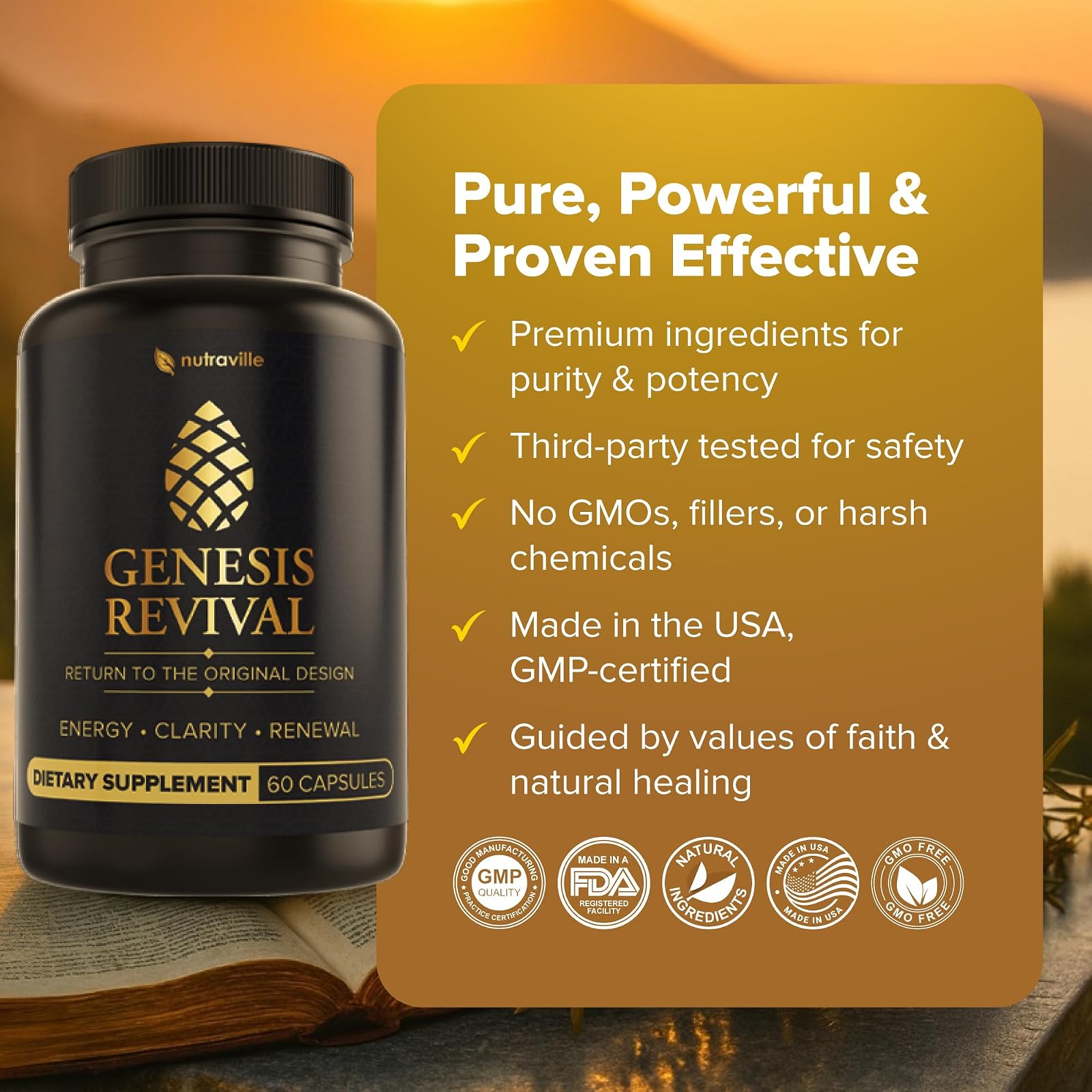 Shilajit and Lion's Mane for brain health