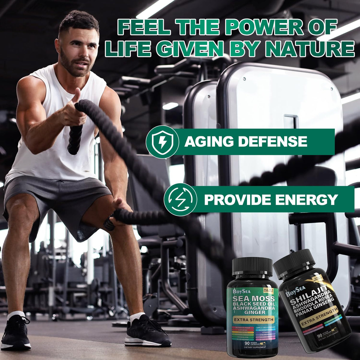 shilajit and sea moss for recovery